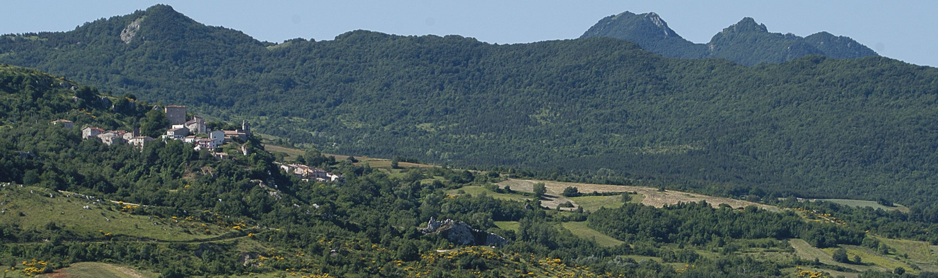Home [sanrinaldo.org]
