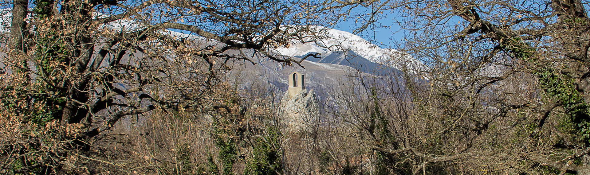 Home [sanrinaldo.org]